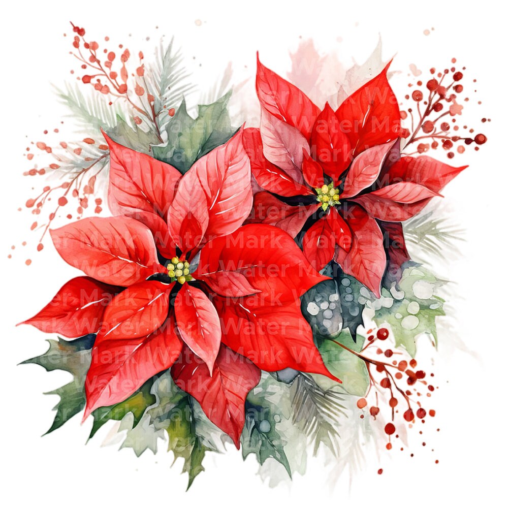 Christmas Poinsettia Clipart, 12 Jpg, Watercolor Clipart, Card Making ...
