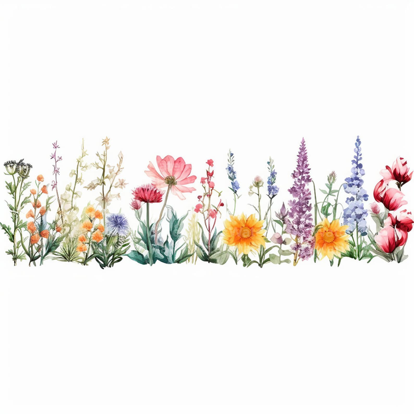 Flowers Border Watercolor Clipart, 12 JPG, Digital Paper Craft ...