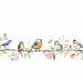 Watercolor Birds Border Clipart: Floral Frame (digital Download) - Etsy
