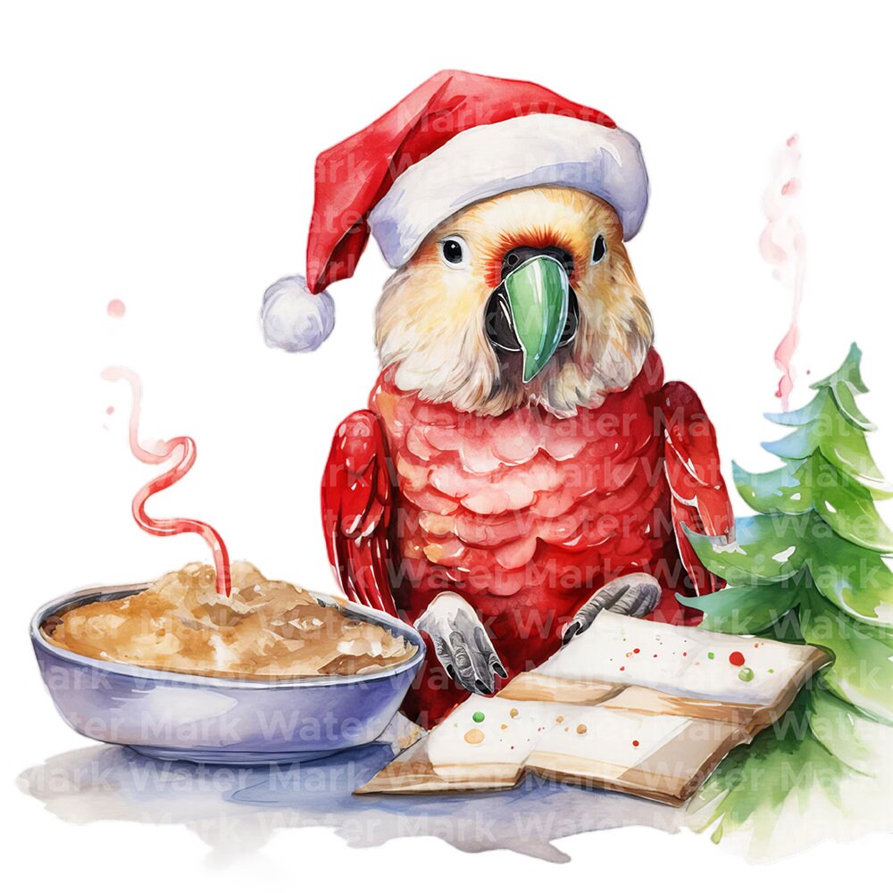 Christmas Parrot Clipart, 12 Jpg, Watercolor Clipart, Digital Paper ...
