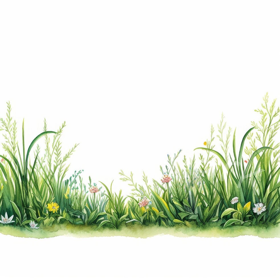 Watercolor Grass Border Clipart: Digital Paper Craft (digital Download ...