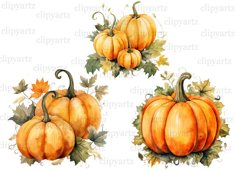 Watercolor Pumpkins Clipart Painted Fall Clipart Halloween ...