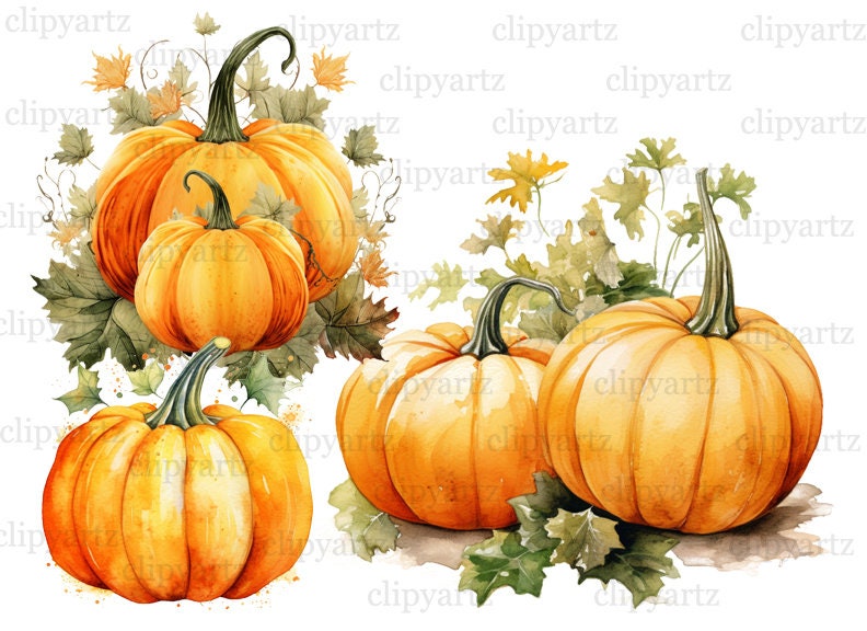 Watercolor Pumpkins Clipart Painted Fall Clipart Halloween ...