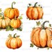 Watercolor Pumpkins Clipart Painted Fall Clipart Halloween ...