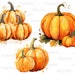 Watercolor Pumpkins Clipart Painted Fall Clipart Halloween ...