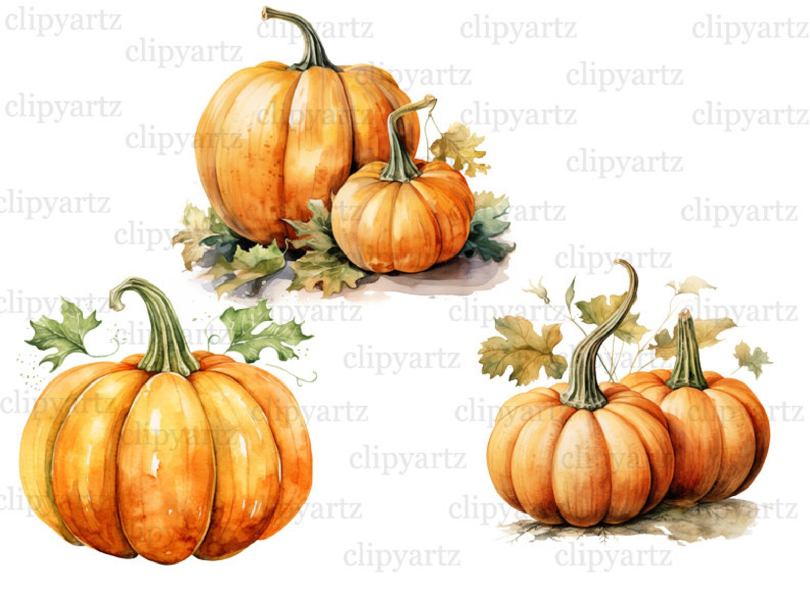 Watercolor Pumpkins Clipart Painted Fall Clipart Halloween ...