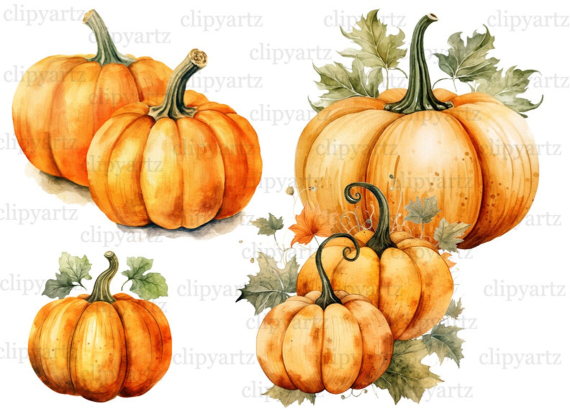 Watercolor Pumpkins Clipart Painted Fall Clipart Halloween ...