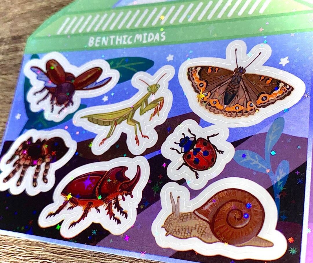 Insect Box Holographic Sticker Set - Etsy