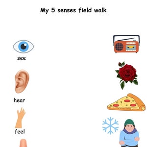 Sense Organs, Educational and Functioning Coping Skills Printable ...