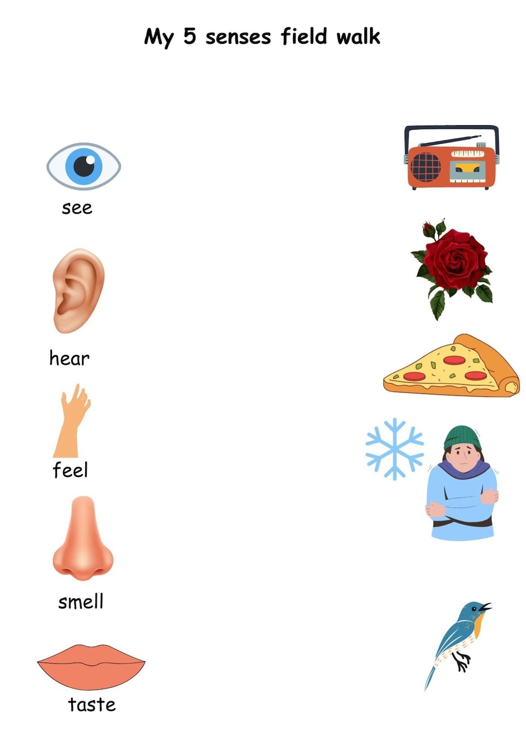 Sense Organs, Educational and Functioning Coping Skills Printable ...
