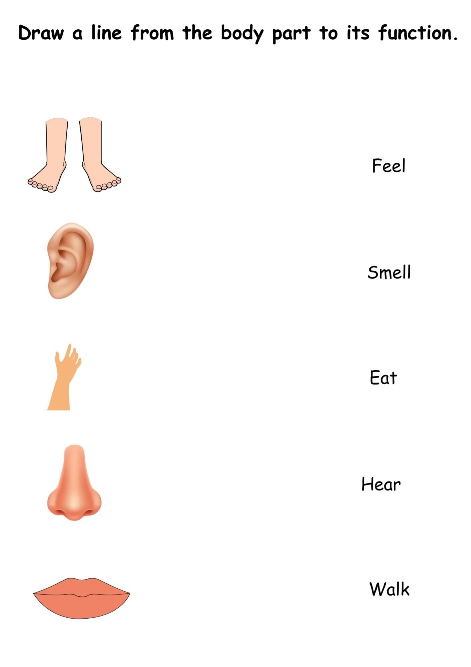 Body Parts Basic, Improve Kids Skills, Educational Book for Kids ...