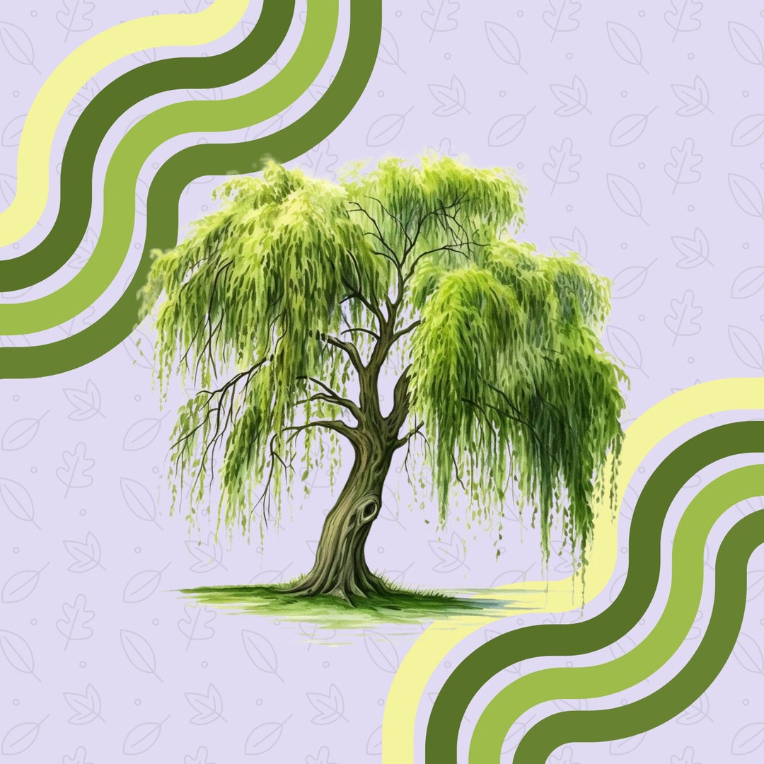Weeping Willow Sticker Made of Durable Vinyl for Laptops, Water Bottles ...