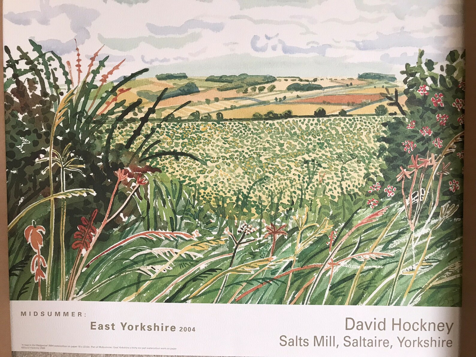 David Hockney A Gap in the Hedgerow (from Midsummer: East Yorkshire ...