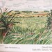 David Hockney A Gap in the Hedgerow (from Midsummer: East Yorkshire ...