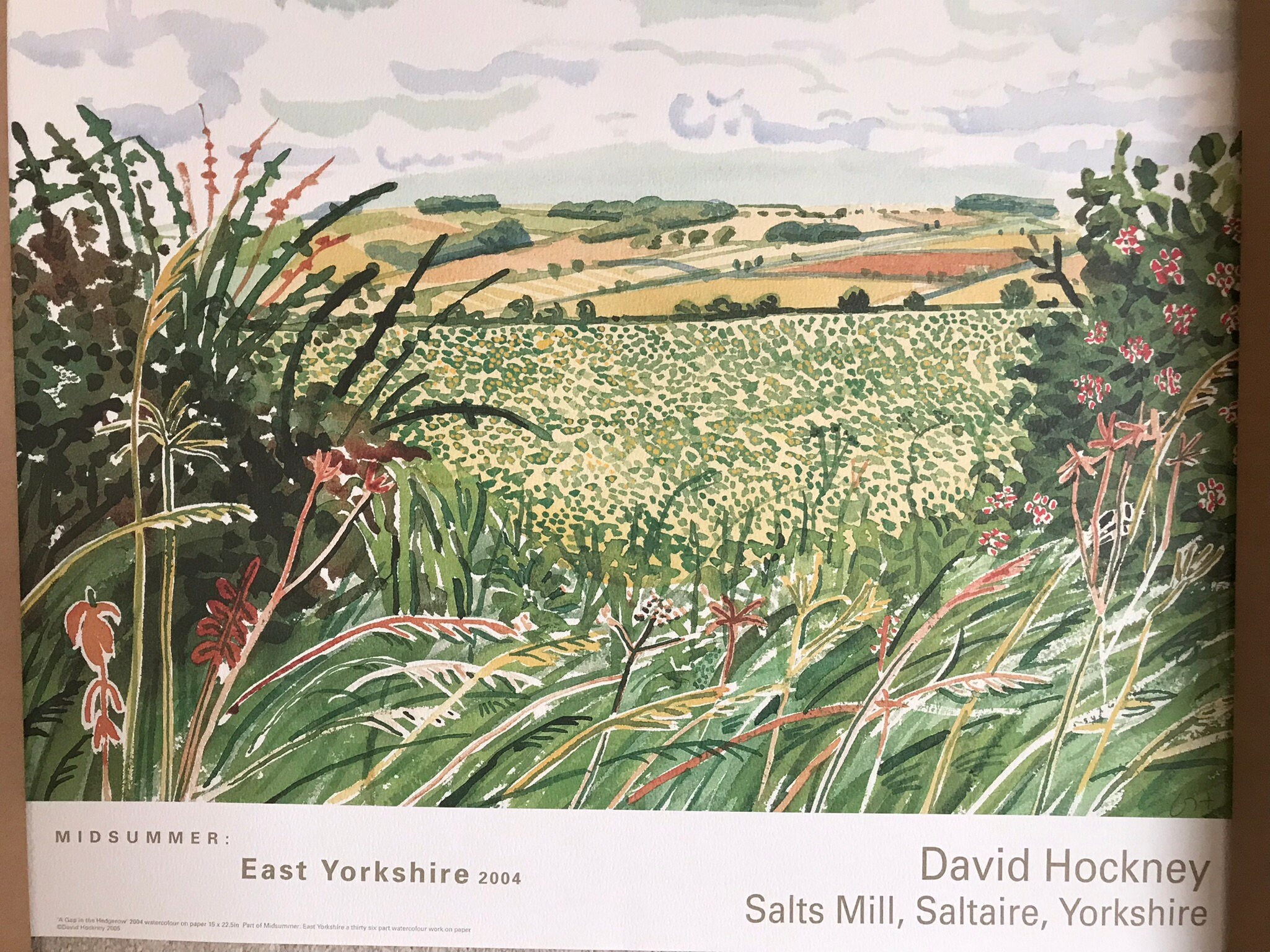 David Hockney A Gap in the Hedgerow (from Midsummer: East Yorkshire ...