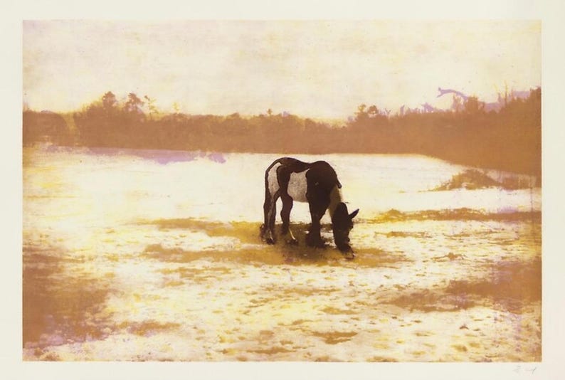 Peter Doig, Pinto, From 100 Years Ago, 2001 Print Unframed - Etsy