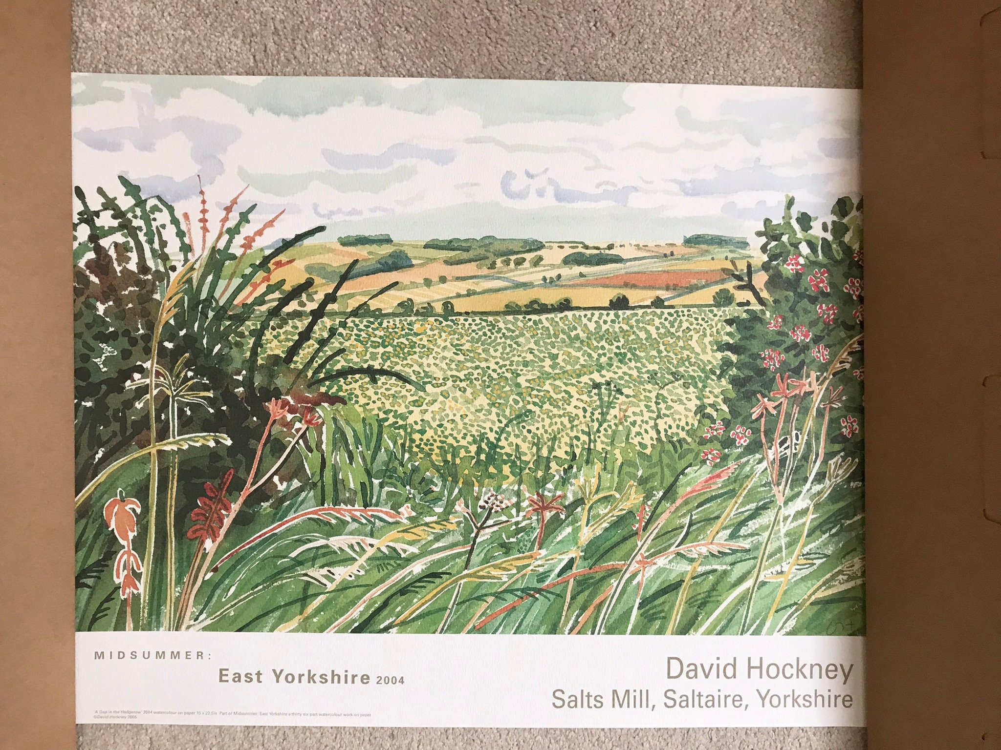David Hockney A Gap in the Hedgerow (from Midsummer: East Yorkshire ...