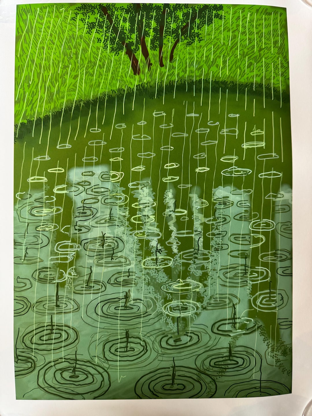 David Hockney 346 Rain Medium Print Unframed - Etsy