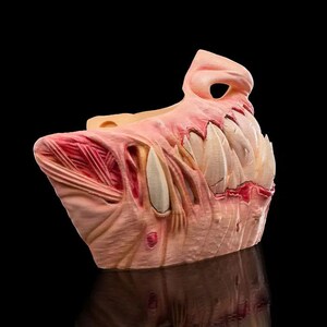 3d-mask Savage Smile Halloween Mask - Etsy