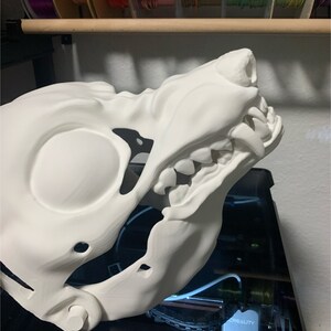 Furry/skullfurry/furrycreature- Head Base - Etsy