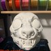 Furry/skullfurry/furrycreature- Head Base - Etsy