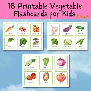 Printable Vegetable Flashcards for Kids 18 Colorful, Educational Cards ...