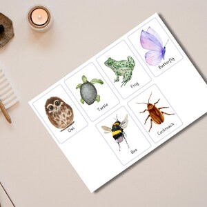 30 Animal Flashcards Printable Educational Cards for Kids - Etsy