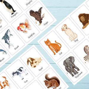 30 Animal Flashcards Printable Educational Cards for Kids - Etsy