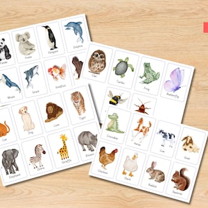 30 Animal Flashcards Printable Educational Cards for Kids - Etsy
