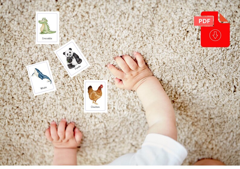30 Animal Flashcards Printable Educational Cards for Kids - Etsy