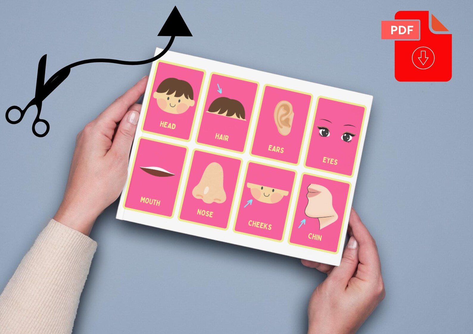 Printable Body Parts Flashcards 24 Educational Human Anatomy Cards for ...