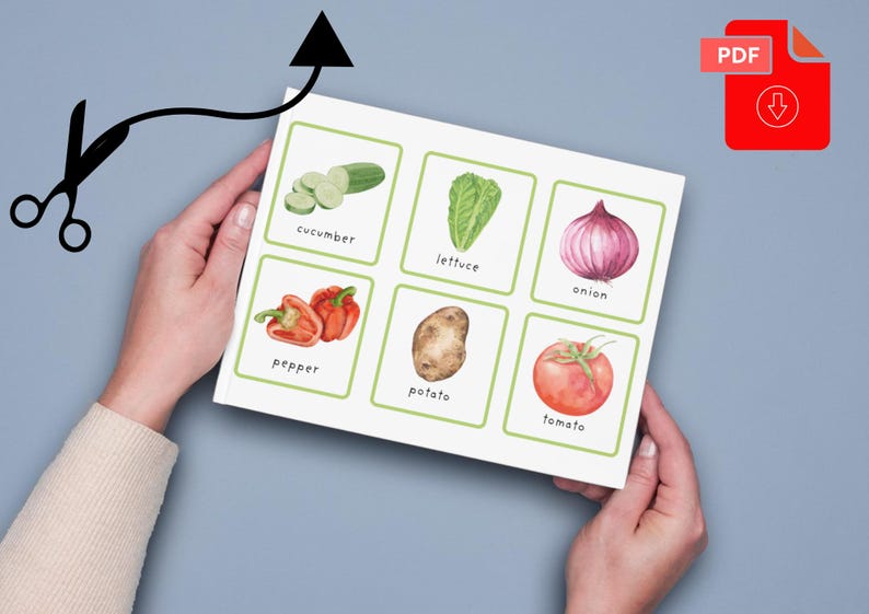 Printable Vegetable Flashcards for Kids 18 Colorful, Educational Cards ...