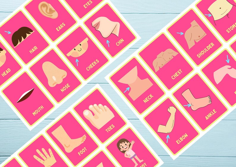 Printable Body Parts Flashcards 24 Educational Human Anatomy Cards for ...