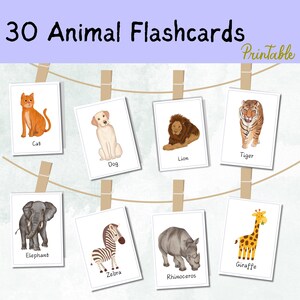 30 Animal Flashcards Printable Educational Cards for Kids - Etsy