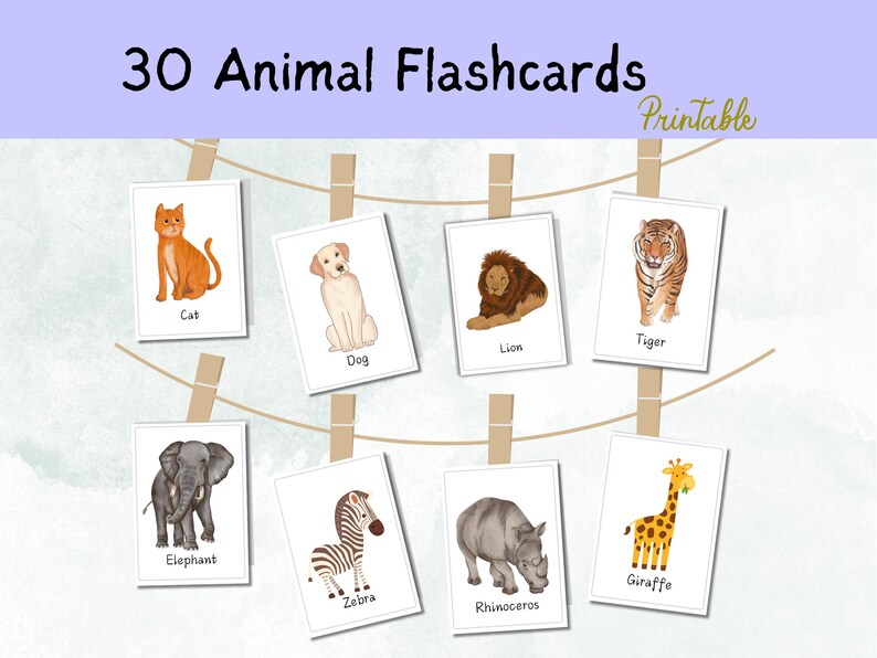 30 Animal Flashcards Printable Educational Cards for Kids - Etsy