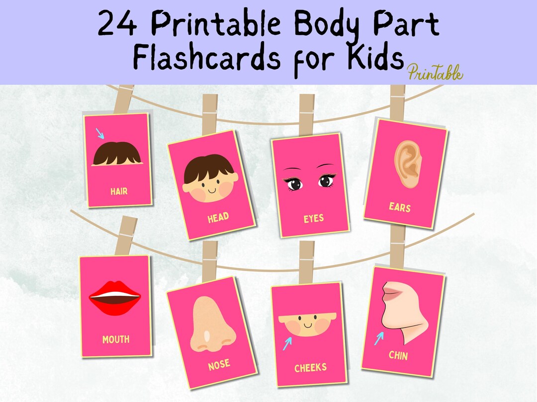 Printable Body Parts Flashcards 24 Educational Human Anatomy Cards for ...