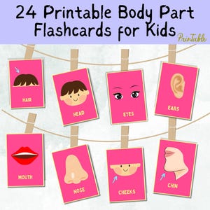 Printable Body Parts Flashcards 24 Educational Human Anatomy Cards for ...