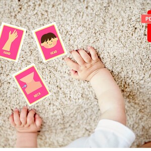 Printable Body Parts Flashcards 24 Educational Human Anatomy Cards for ...