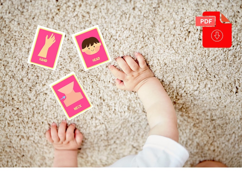 Printable Body Parts Flashcards 24 Educational Human Anatomy Cards for ...