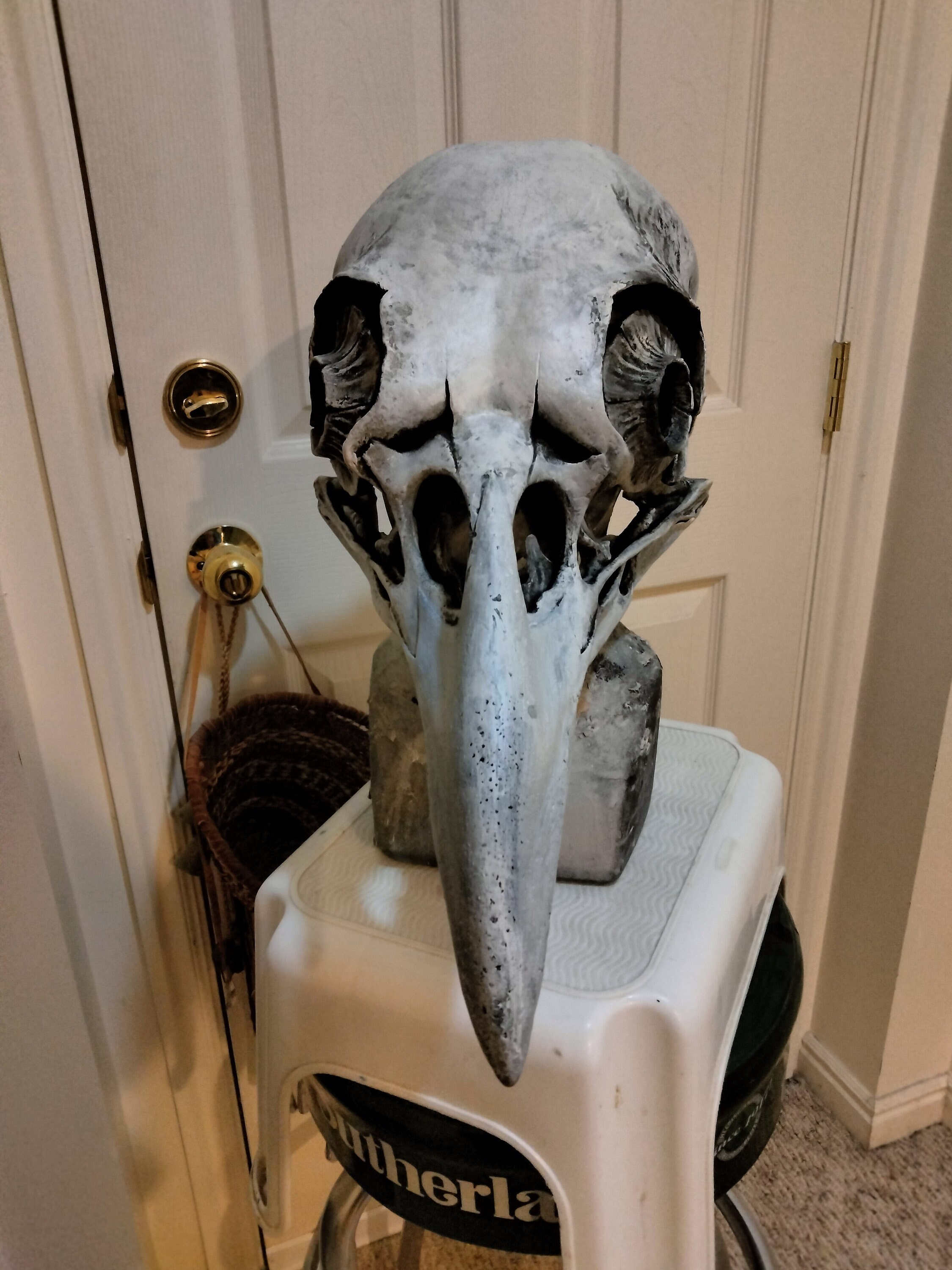 Latex Bird Skull Mask - Etsy