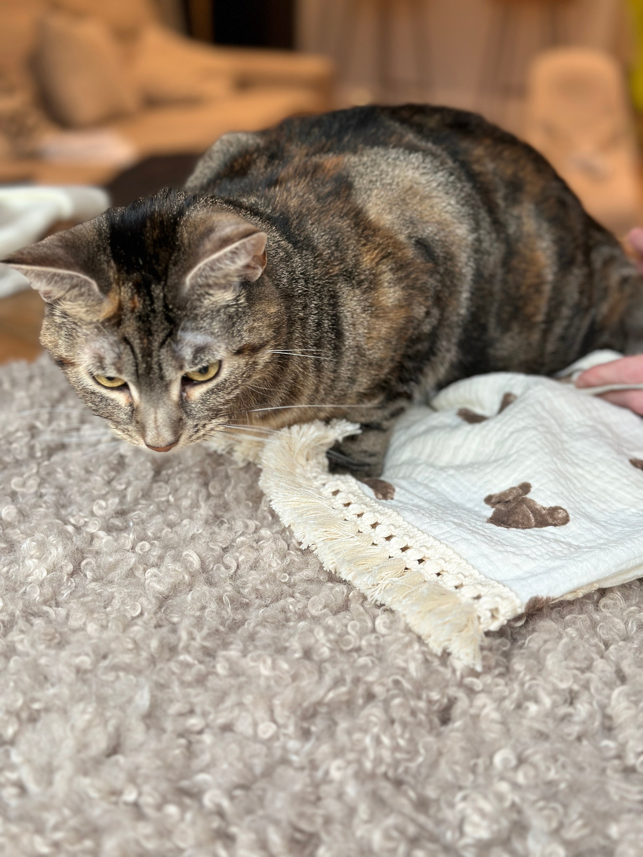 Coco Bear Cosy Muslin Blanket - Etsy