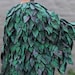 Magical Wool Leaf Cape, Druid Felted Mantle, Elf Poncho, Felt Leaf ...