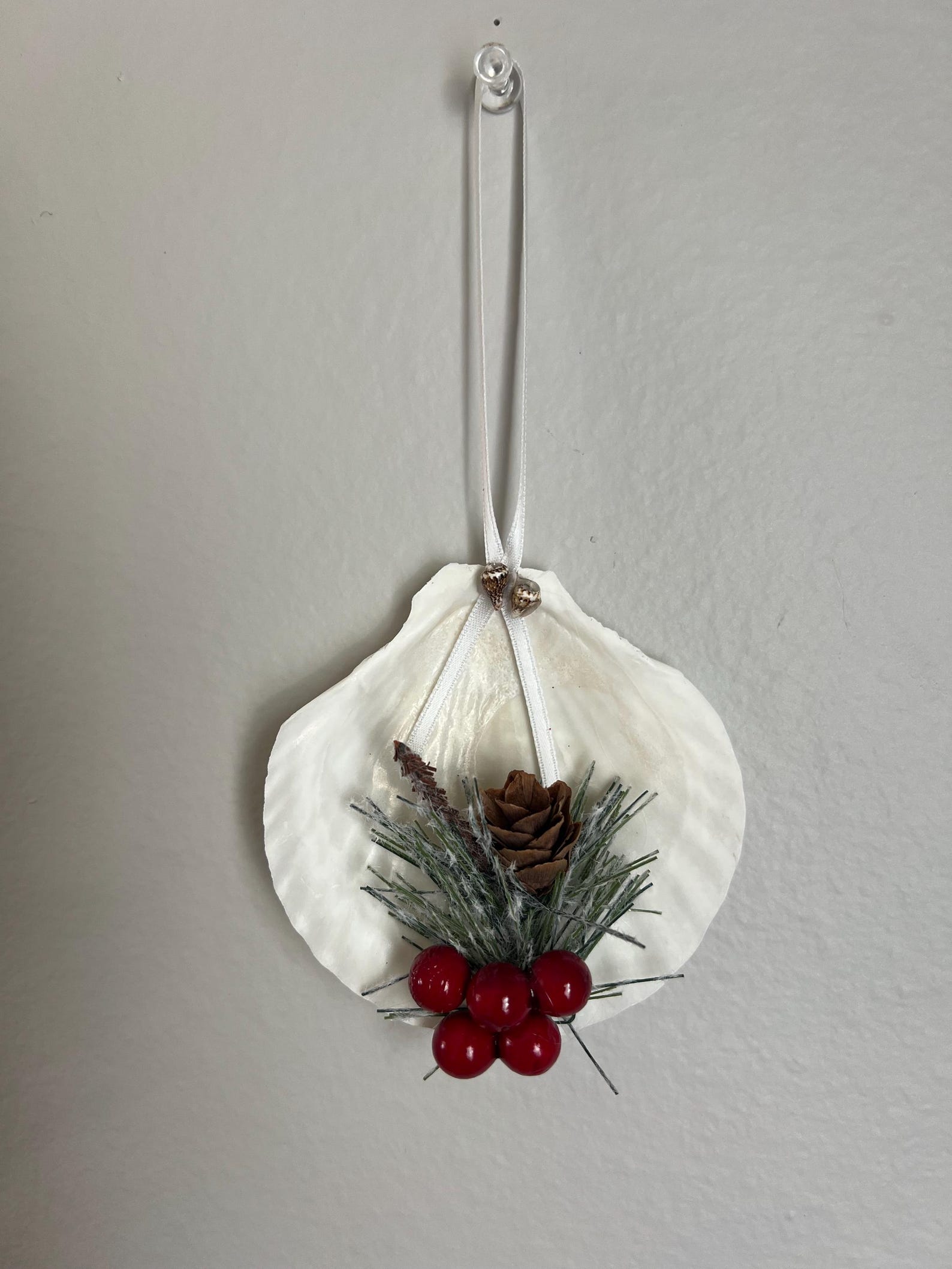 Christmas Coastal Decor Scallop Shells - Etsy