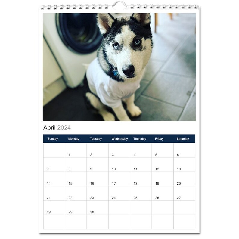 Personalised Husky Owner Gift 2024 Calendar Unique Calendar - Etsy