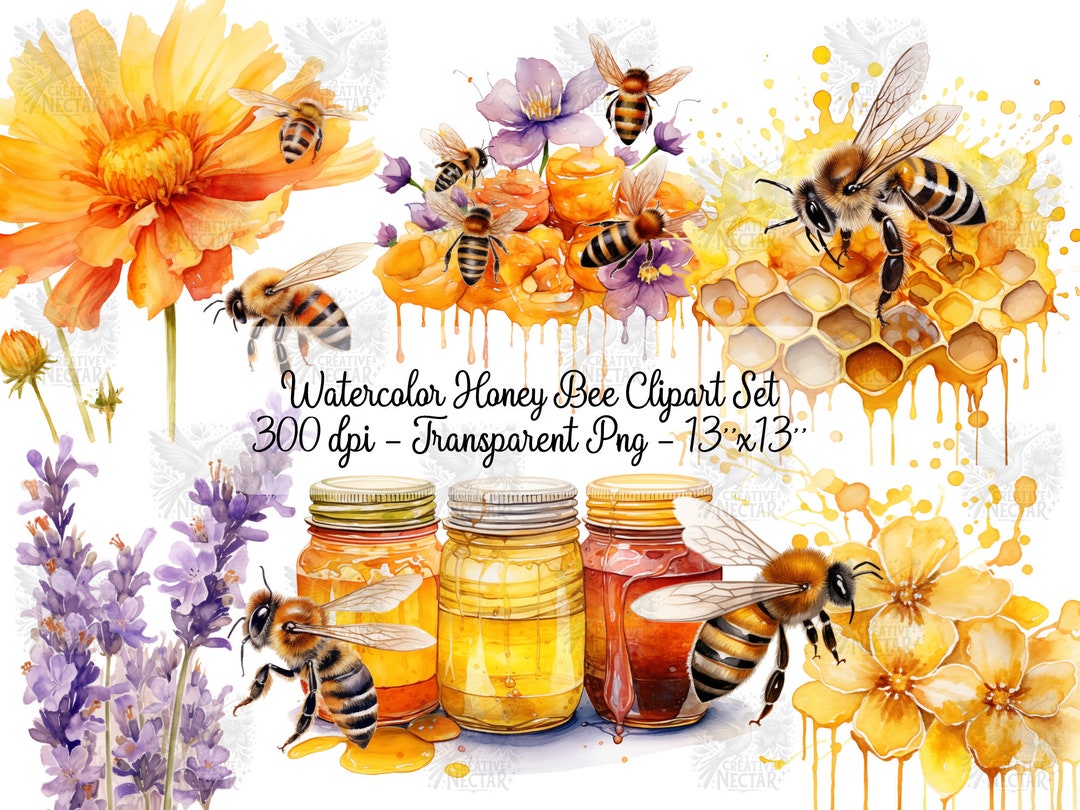 Watercolor Honey Bee Clipart Set Bees Flowers Honeycombs - Etsy