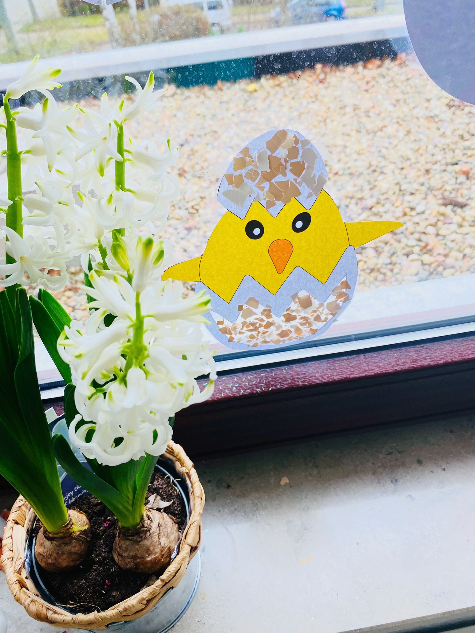 Chick as a Window Picture or Easter Picture Craft Template for Download ...