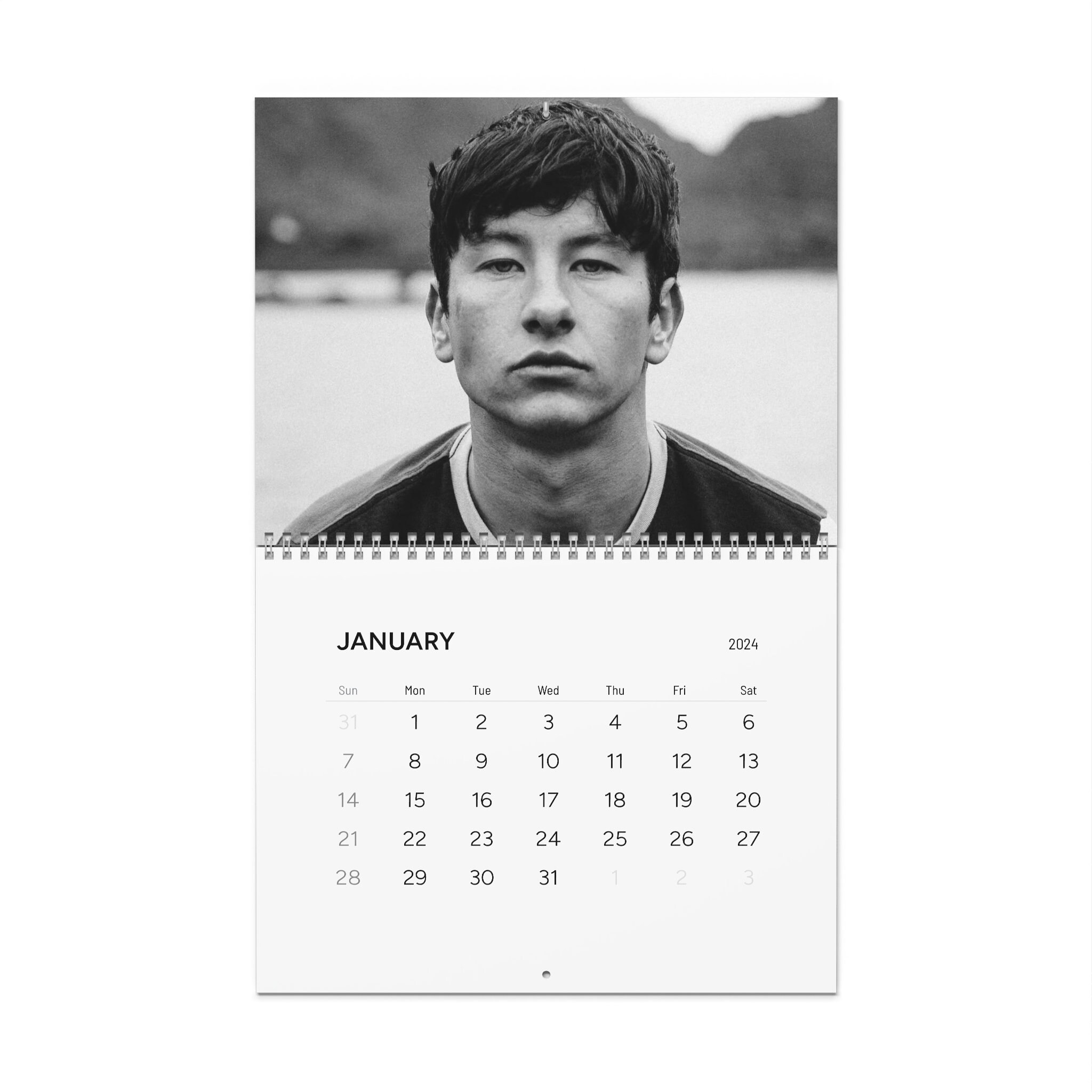 Barry Keoghan 2024 Calendar | Barry Keoghan, Irish Actor Merch | Gift ...