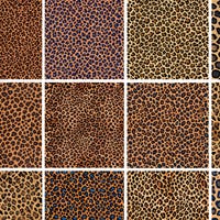 Colorful Leopard Spots Background Digital Paper / Digital Png Download ...