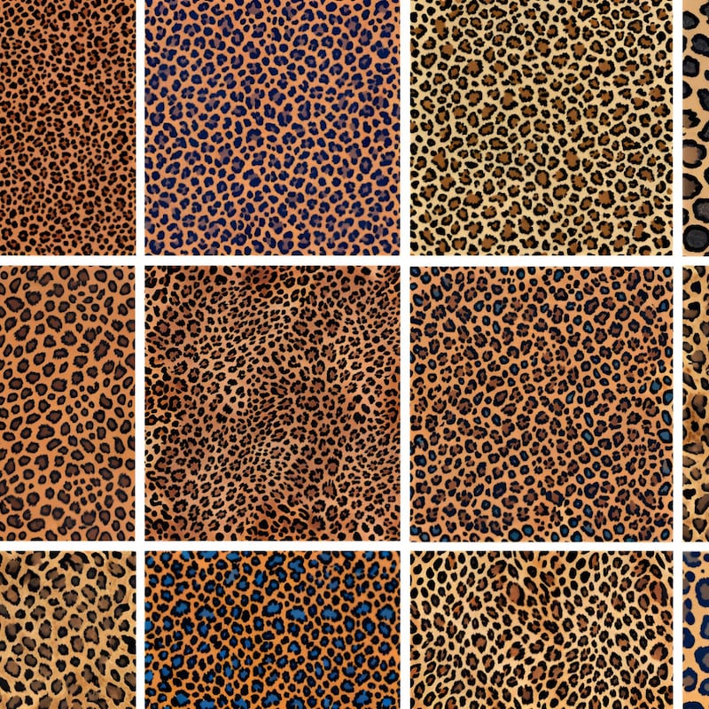 Leopard Print - Etsy