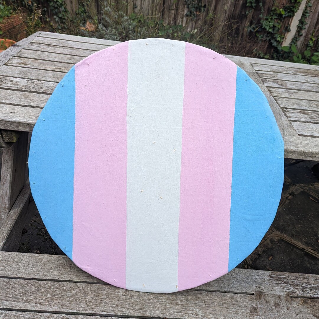Trans Flag Shield for Cosplay / LARP / Pride / Display - Etsy